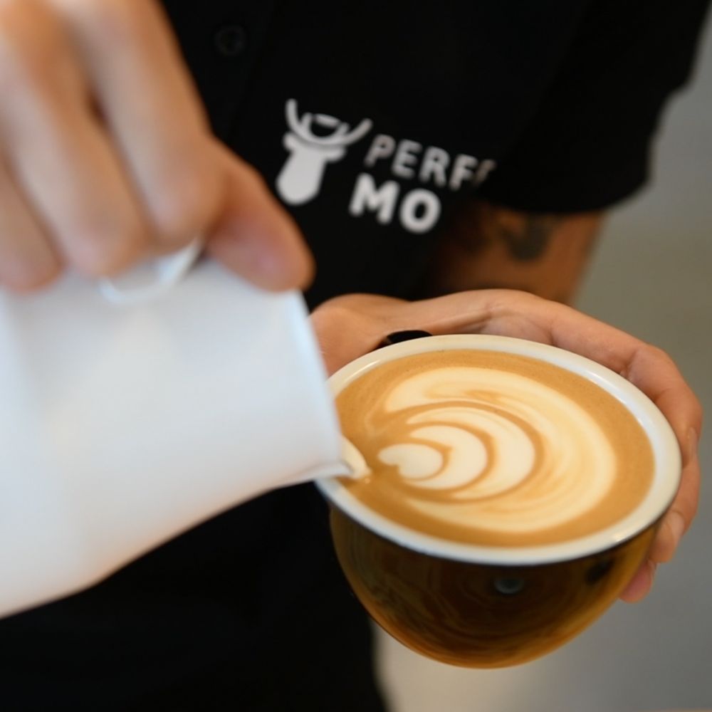 Perfect Moose | smart steamer for milk and more